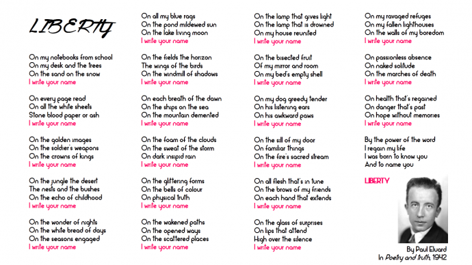 LIBERTY | The Tropical Dog