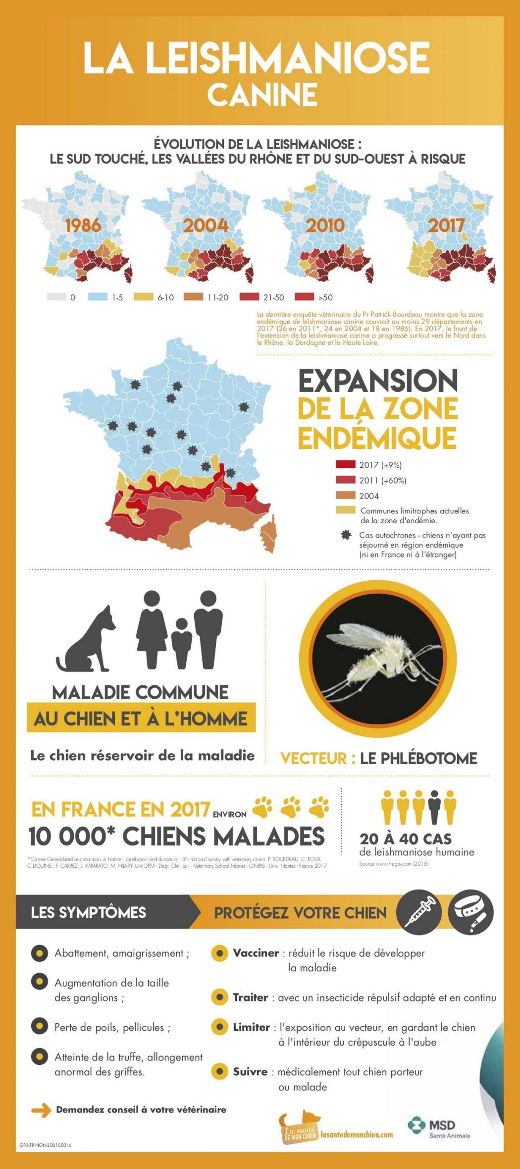 Leishmaniose canine : une maladie en expansion | The Tropical Dog