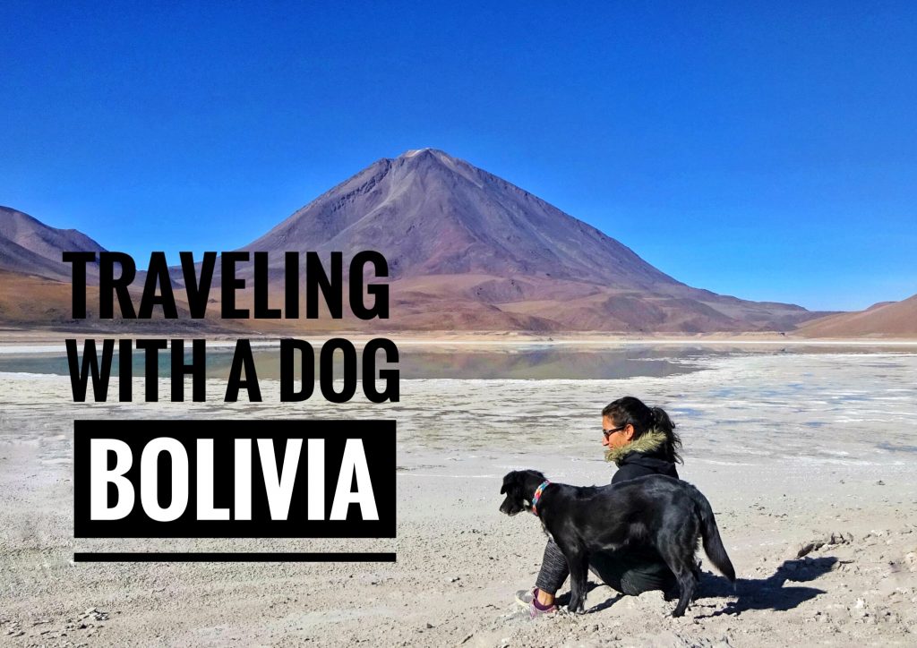 Traveling with a dog in Bolivia | The Tropical Dog