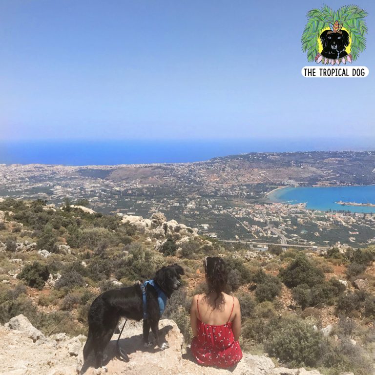 Road trip dans l'ouest de la Crète avec un chien | The Tropical Dog