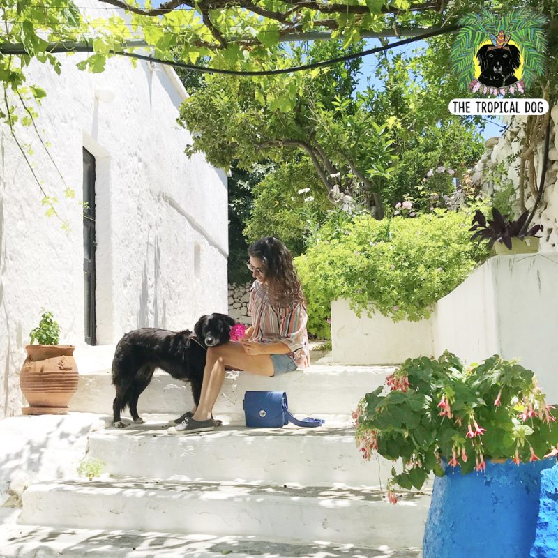Road trip dans l'ouest de la Crète avec un chien | The Tropical Dog